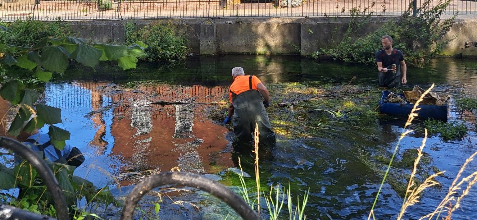 Canterbury river litter clean up - Kentish Stour