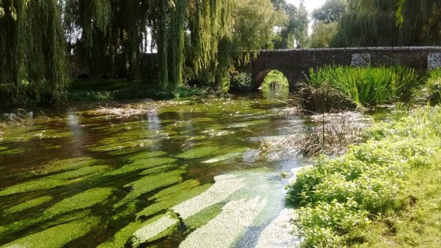 The River Stour - Kentish Stour